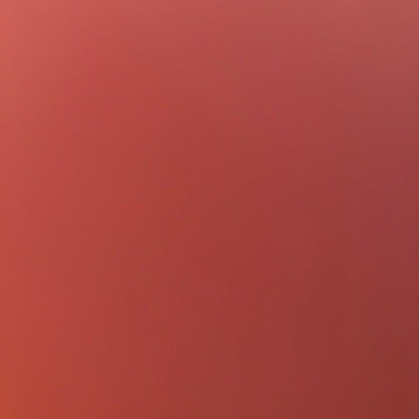 1/4-OZ 5000+ A-choy / AA Cai Seeds, Taiwanese Sword Leaf Lettuce ...