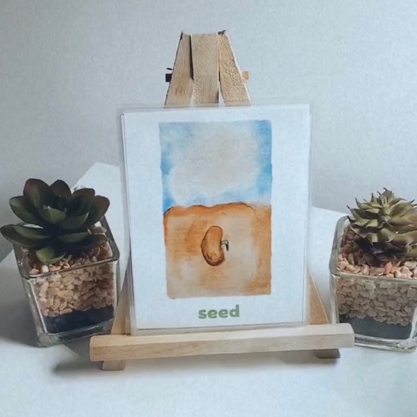 Bilingual Plant Life Cycle - Montessori SPANISH Botany Science ...
