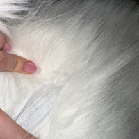 Pattern and Tutorial: Retractable Claws for Fursuits - Etsy Canada
