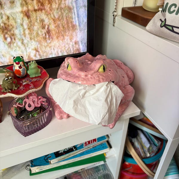 CUSTOM Painted Ceramic Arnel Toad Toilet Paper Holder LARGE - Etsy