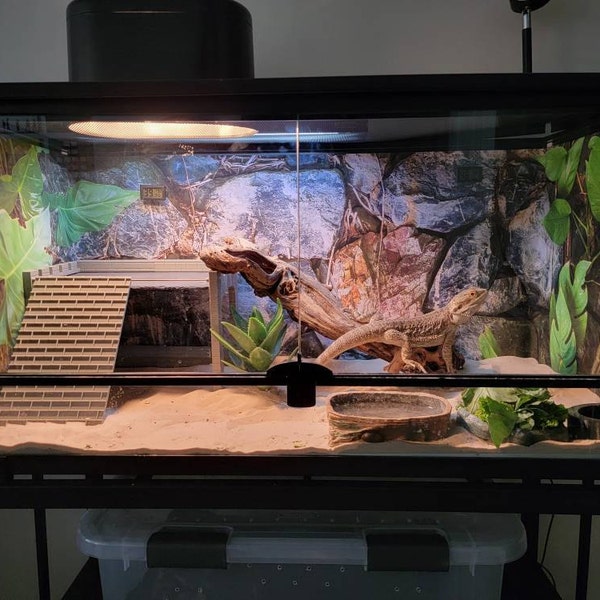Aquarium Background / Colorful Turtle With Sea Animals. - Etsy