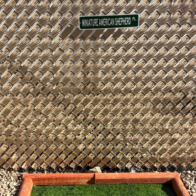 Dingo, Dingo Gift, Dingo Sign, Dingo Decor, Dingo Expert, Wild Animal ...