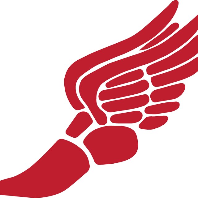 Red Track Shoe With Wings