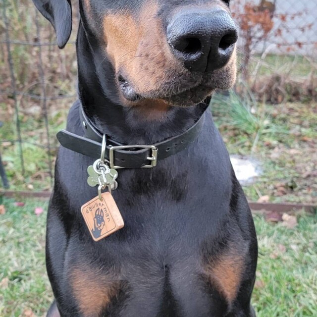 whatstheirface - Etsy