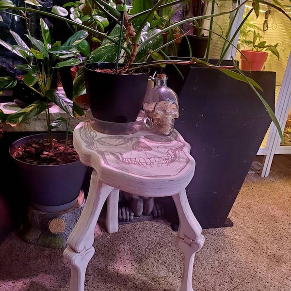 Bone Daddy, Plant Stand, Skull, Skeleton, Bones, Plant Decor, Plant ...