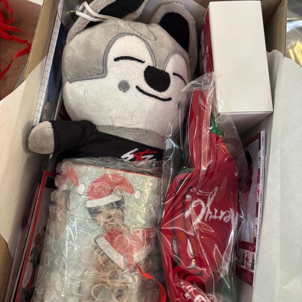 Skzoo Christmas Gift Box Stray Kids Plush Toy Mystery Box With Stray ...