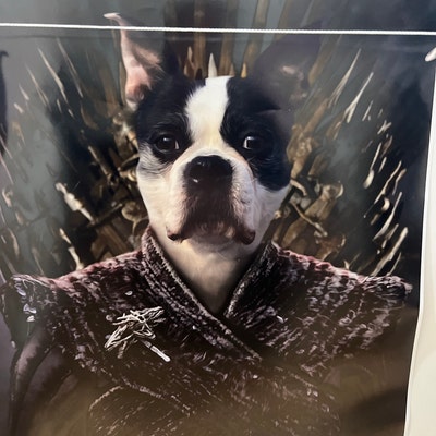 Custom Kylo Ren Pet Portrait . Star Wars Pet Portrait . Custom - Etsy