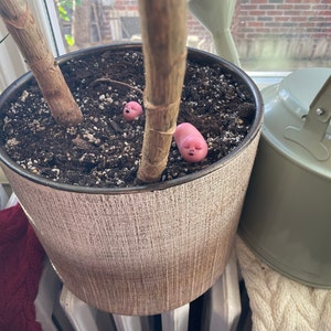 Polymer Clay Creepy Cute Weird Figurines/ Baby Nuggets - Etsy