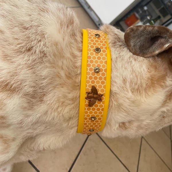 PRE-MADE Biothane Handle Collars, Ready to Ship - Etsy
