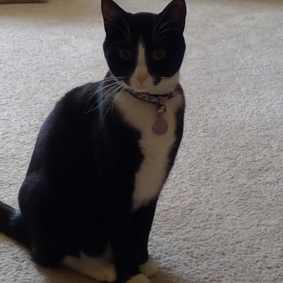 Ling Chang September Calendar Poster, Pink Azalea, Art Print, 2025 ...