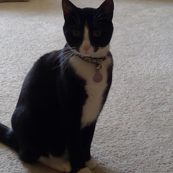 Ling Chang January Calendar Poster Lily of the Valley Watercolor Art ...