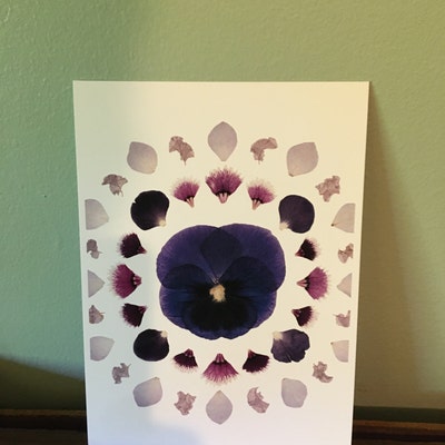 Modern Floral Wall Art Nature Inspired Art Print Real Flower Poster ...