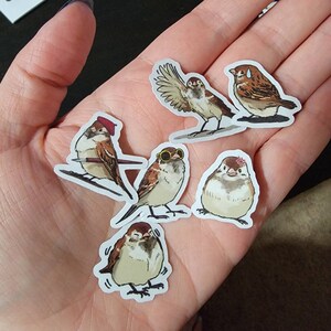 BIRDS, BIRDS, BIRDS 40 Bird Stickers, Realistic Birds, Funny Birds ...