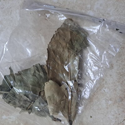 E Ewe Rerinkomi/ Ewe Imi Esu/ White Weed/ Goat Weed/ Ageratum - Etsy