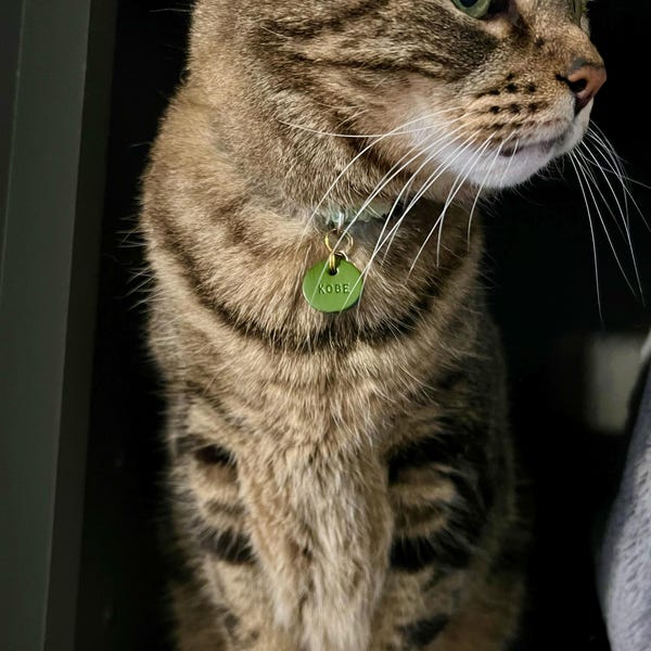 Cat Tag, Leather Tag, Silent ID Tag, Personalized Cat Tag, Small Dog ...