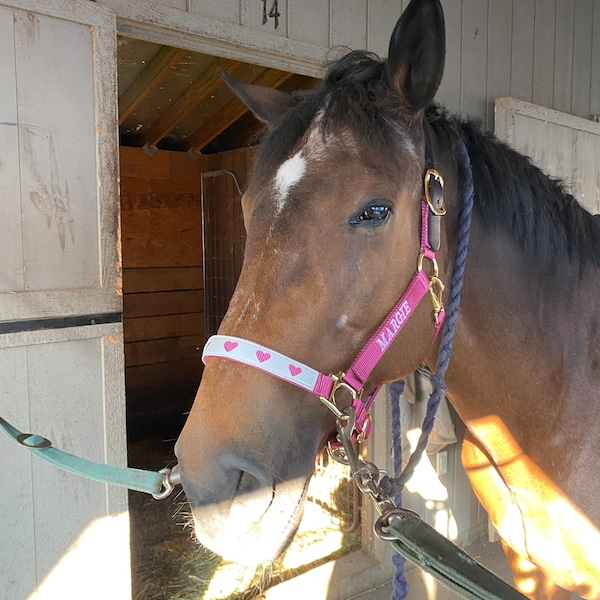 Sunflower Horse Halter, Flower Draft Horse Halter, Breakaway Large ...