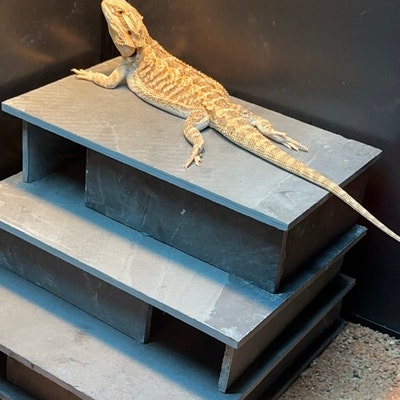 3 Tier Open Back Slate Hide 11x11x8 for Fish, Snake, Reptile, Turtle ...