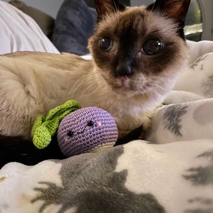 Red Apple Kawaii Fruit Toy Stuffed Food Food Plush crochet | Etsy