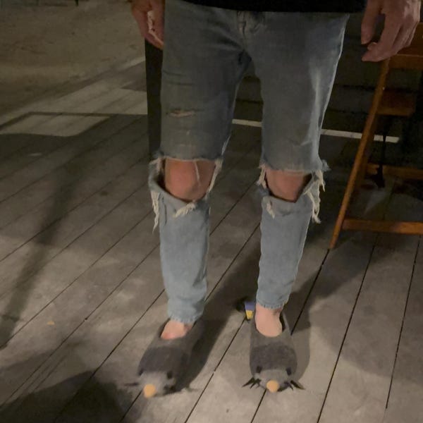 Conure Bird Custom Slippers, Eco Wool Flat Shoes, Natural, Felting ...