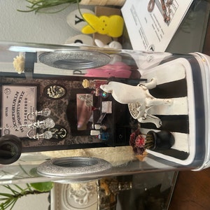 Made-to-order Wizard's Study Jumping Spider - Etsy