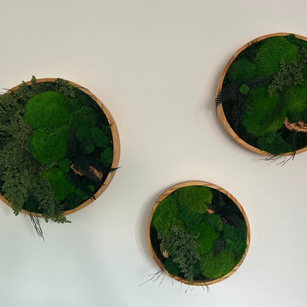 Moss Picture Ball Moss Solid Wood Frame Oiled Oak Moss Landscape - Etsy