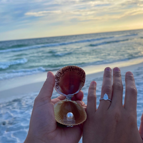 Proposal Seashell Ring Box/seashell Wedding Ring Box/shell Engagement ...