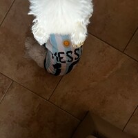 Neon Color Chart & HEX Codes, Printable, Designer Quick Reference ...