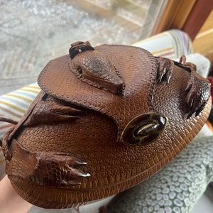 8 to 9 River Cooter Turtle Shell 1077-0809 10UBS - Etsy