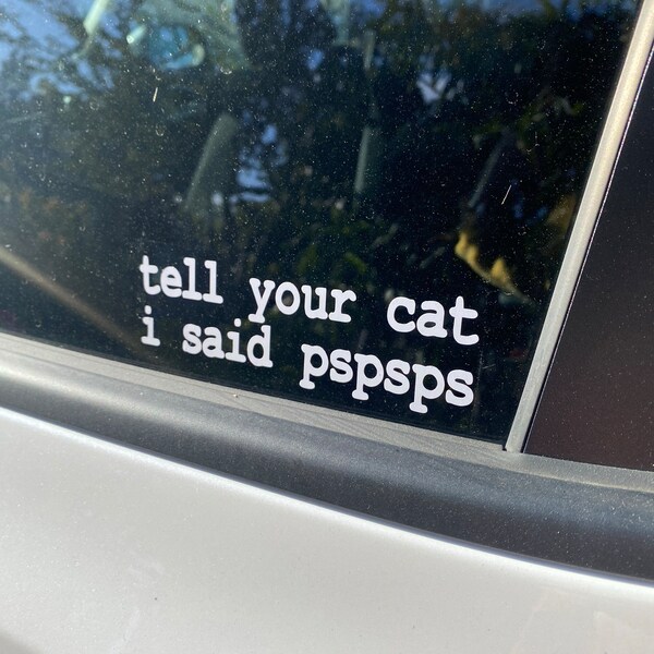 Scaredy Cat Funny Car Vinyl Decal Sticker - Etsy