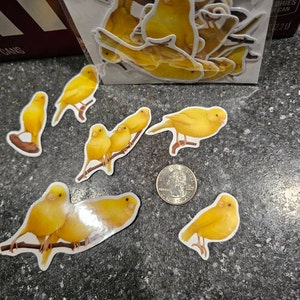 Orca Magnet Set Killer Whale Waterproof Vinyl Magnets for Refrigerator ...