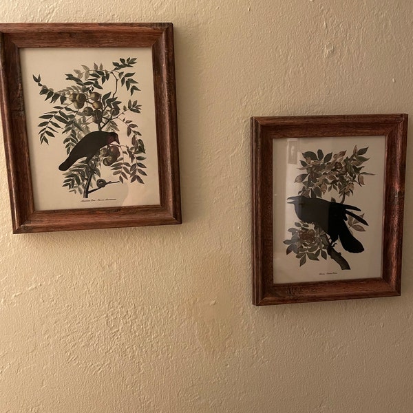 Audubon Raven and Crow Print Set No. 9, Art Prints, Vintage Bird Prints ...