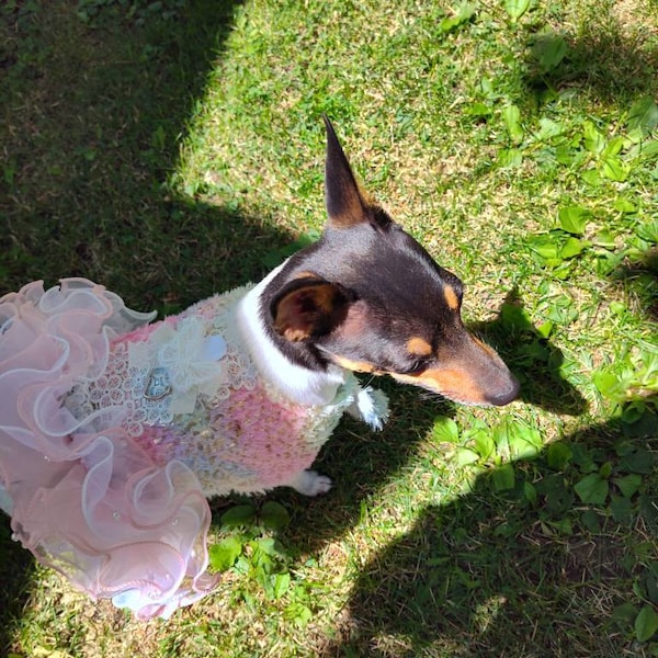 New Best Friend Dog Wedding Dress, Custom Princess Dog Dress, Ruffle ...