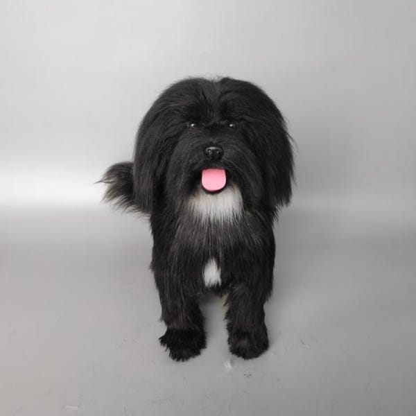 Custom Life Like Dog Plushie Clone - Etsy