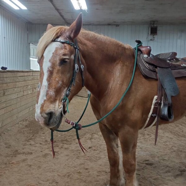 Yacht Rope Sport Mecate Reins W Poppers! Use With Slobber Straps ...