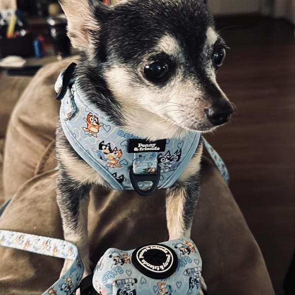 Bluey Bingo Muffin Coco Snickers Rusty Keychain - Etsy