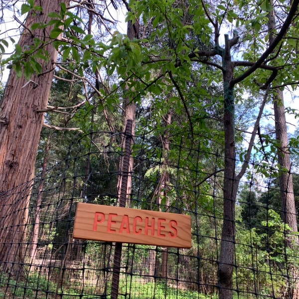 PEACHES Sign, Outdoor Sign, Yard Art, Garden Marker, Fruit Tree Sign ...