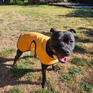 Dog Cool Coat and Collar, Chiller Cool Coat, Custom Dog Cooling Coat ...