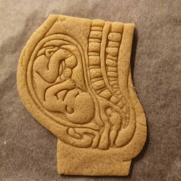 Pregnant Womb With Fetus Cookie Cutter Anatomy Physiology Medicine ...