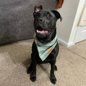 State of Michigan or Select Your State Pet Name Tag Medium 1 Max ...