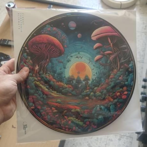 Time Machine Pressed Felt Turntable Slipmat Accesory Vinyl Record ...