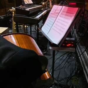 Elegant Cellobib for the Cellist in Your Life - Etsy