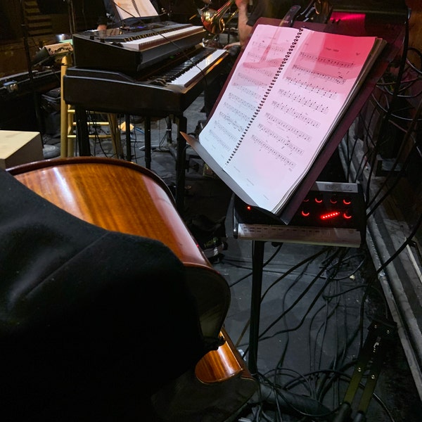 Elegant Cellobib for the Cellist in Your Life - Etsy