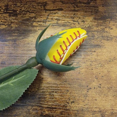 Softball Roses Select Qty Softball Gift Back to School - Etsy