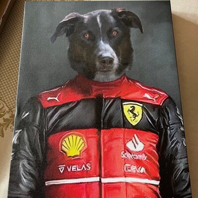 Mercydes, Formula Racing Car, Funny Pet Lover Gift, F1 Driver Team Pet ...