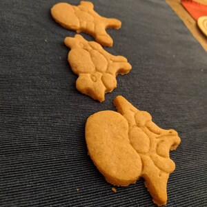 Lumbar Vertebra Cookie Cutter Medical Science Human Spine Anatomy ...