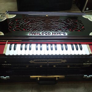 Sarod Professional Amjad Ali Khan Style Sarod Tun Wood Inlay Work ...