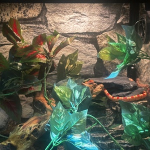 Silver Medley Rock / HD Stone Aquarium Background Rocky Fish Tank ...