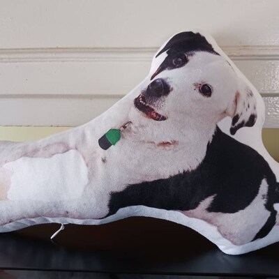 Photo Customization DIY Dog Cushion Pet Plush Toys Dolls Stuffed Animal ...