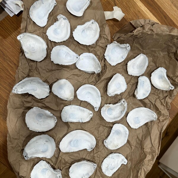 Seashell - Channel Whelk - Hand Painted - Sunshine - Pawleys Island ...