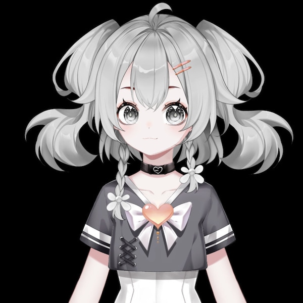 Vtuber Model for Commercial Use| Full Body/fully Rigged Live2d Anime ...